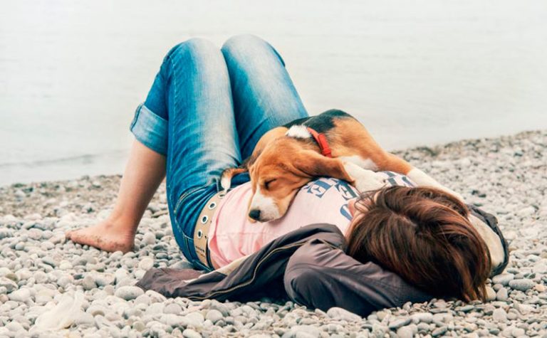 7 cuidados básicos que necesita tu perro – Laboratorio Clínico Lopez ...